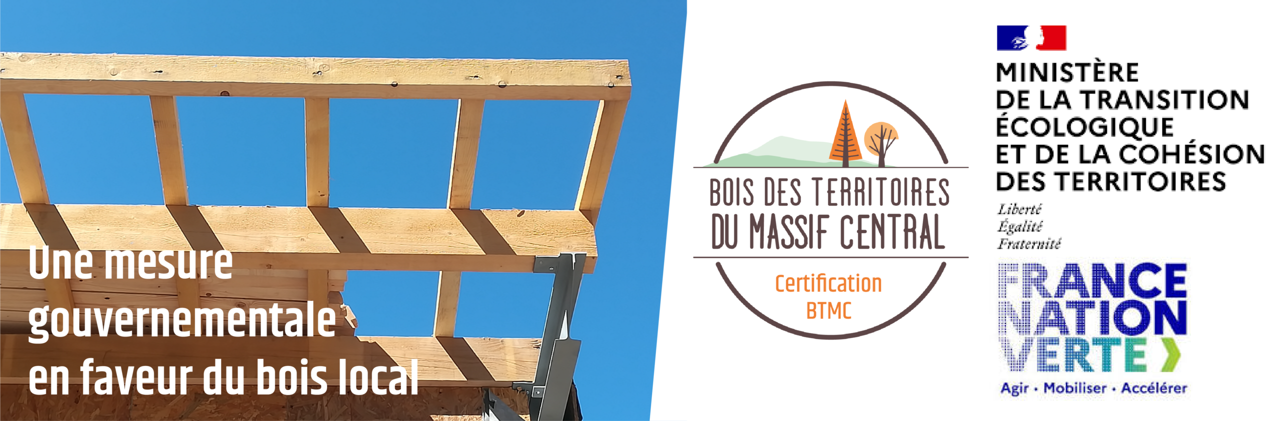fonds vert - btmc - Bois des territoires du Massif Central