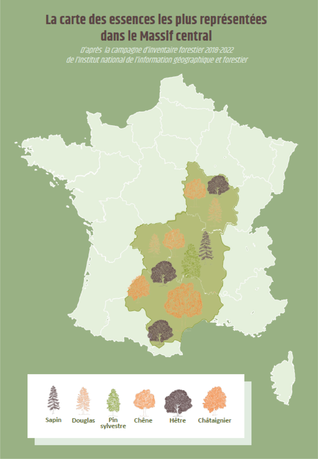 Les produits et essences BTMC - Bois des territoires du Massif Central